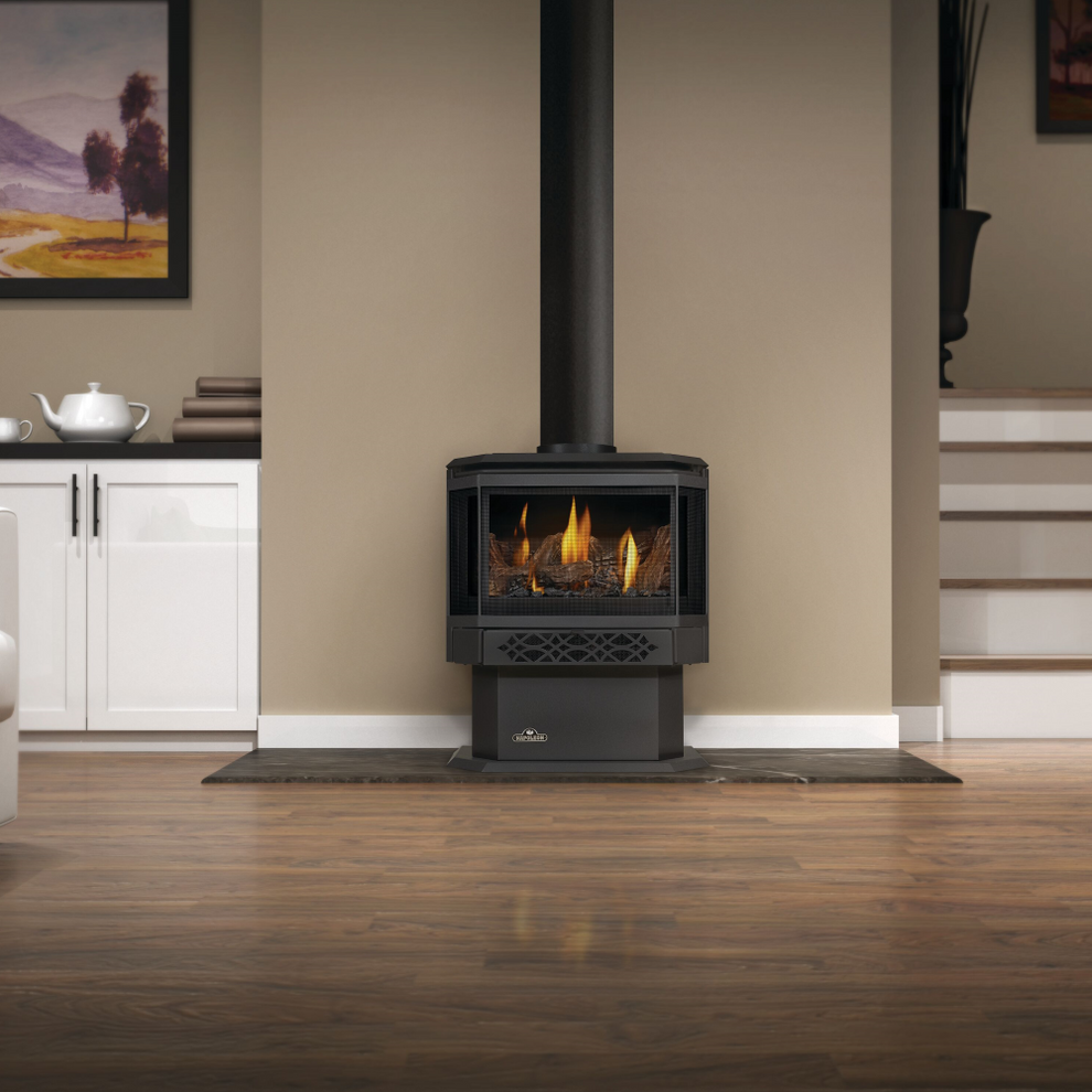 Napoleon Haliburton Pedestal Standing Pilot Ignition | GDS28-1NSB ...