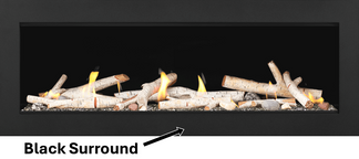 Napoleon Vector 50 LV50 Linear Direct-Vent Gas Fireplace | LV50N-2 ...