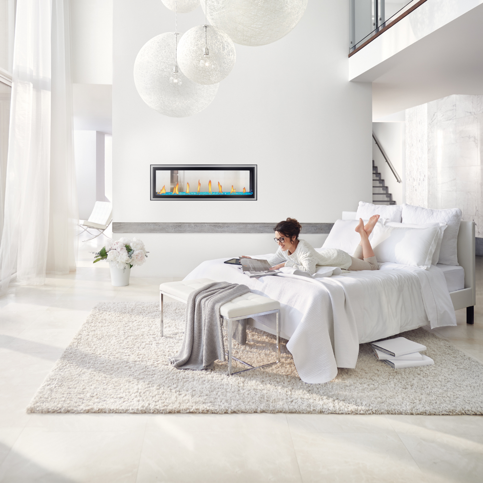 Napoleon Vector 50 SeeThru Linear Direct-Vent Gas Fireplace | LV50N2-2 ...