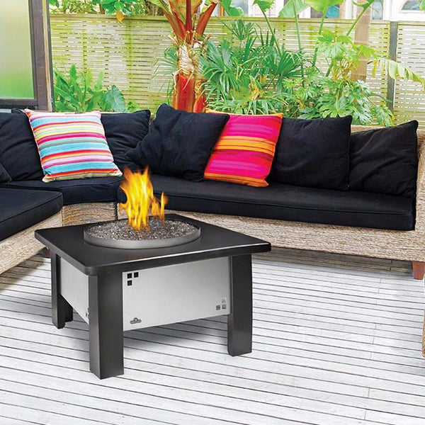 Napoleon Outdoor Patioflame Stainless Steel Outdoor Gas | GPFG-2 ...