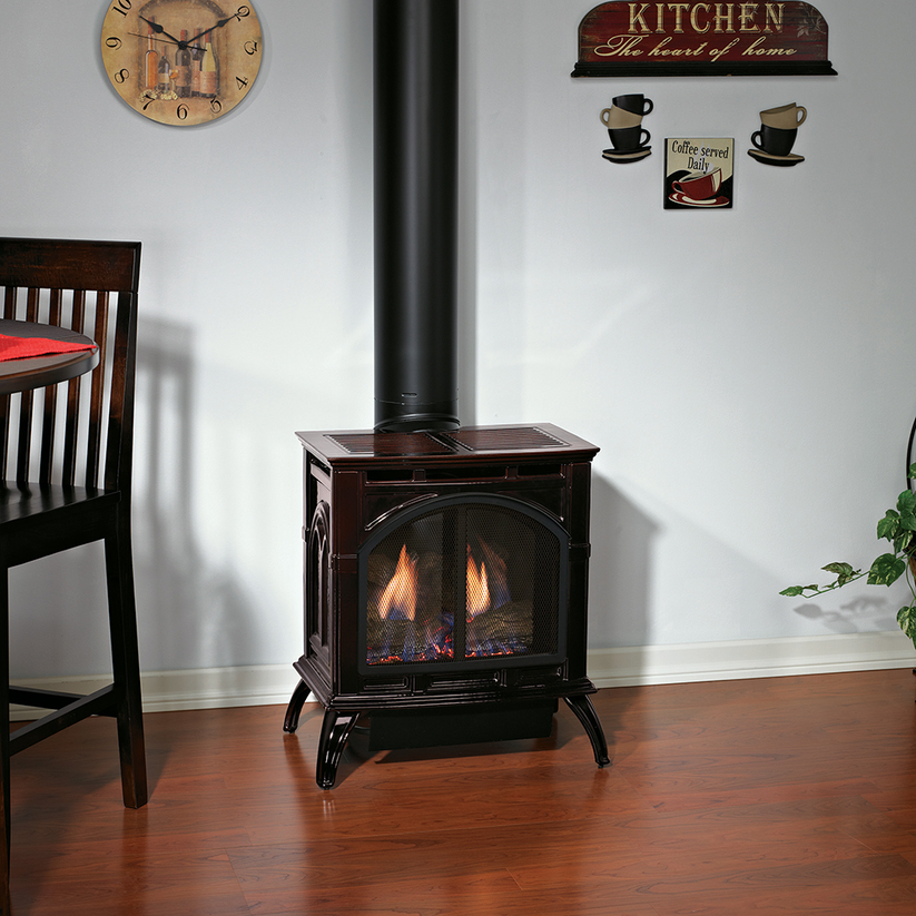 Empire Cast Iron Compact Direct Vent Gas Stove | DVP20CC – North ...