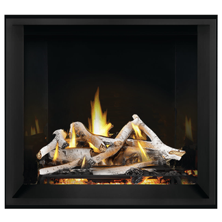 Napoleon Elevation X 36 Direct Vent Gas Fireplace | EX36NTEL – North ...