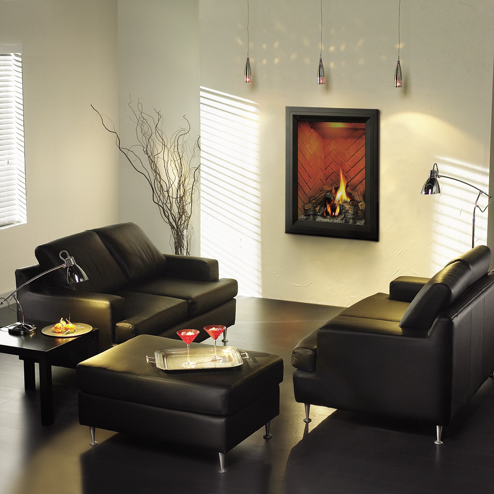 Napoleon Park Avenue GD82NT-PAESB Direct Vent Gas | GD82NT-PAESB-1 ...