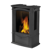 Napoleon Castlemore Electronic Ignition Direct Vent Stove | GDS26N ...