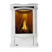 Napoleon Castlemore Electronic Ignition Direct Vent Stove | GDS26N ...