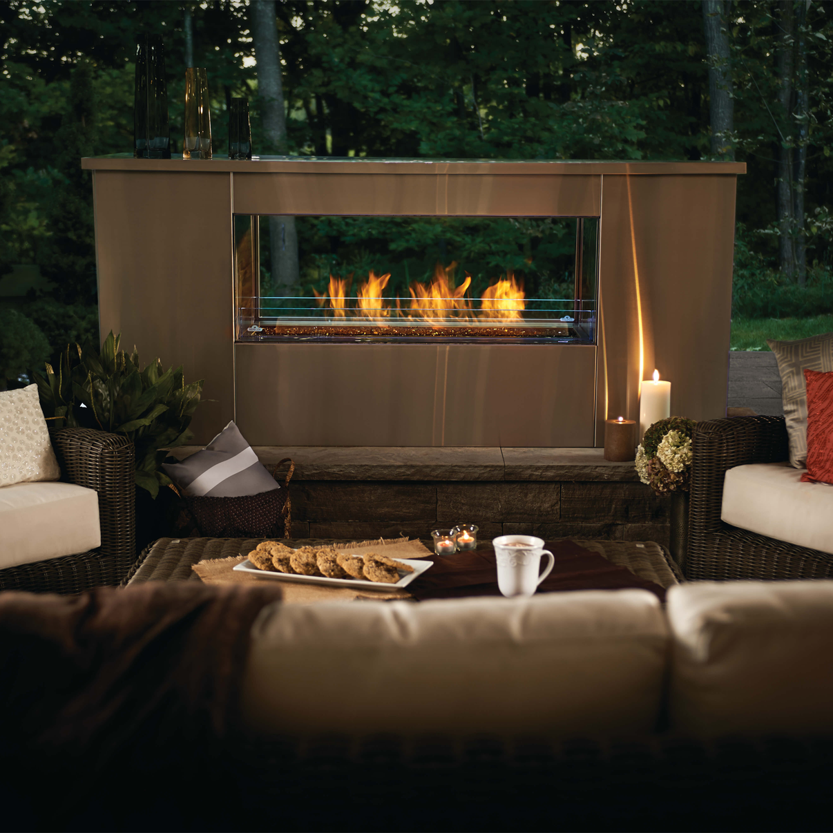Napoleon Galaxy See-Thru Two-Sided Outdoor Gas Fireplace | GSS48ST ...