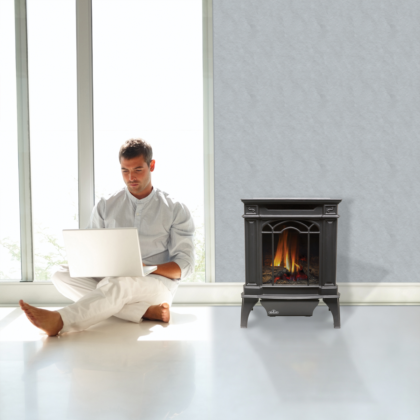 Napoleon Arlington Vent Free Cast Iron Gas Stove | GVFS20 – North ...
