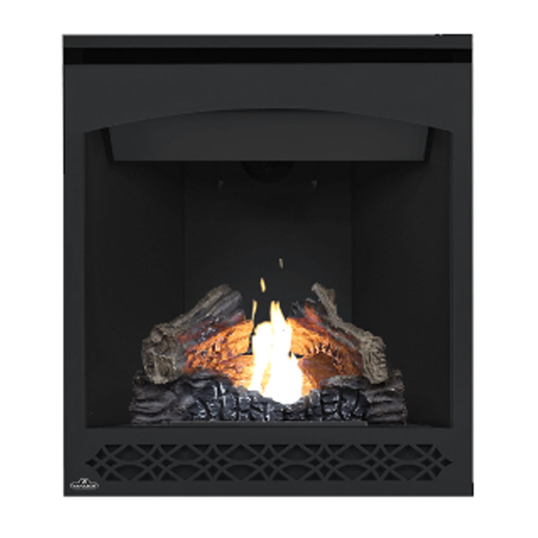 Napoleon H42F Black Heritage Decorative Front | H42F – North Country Fire