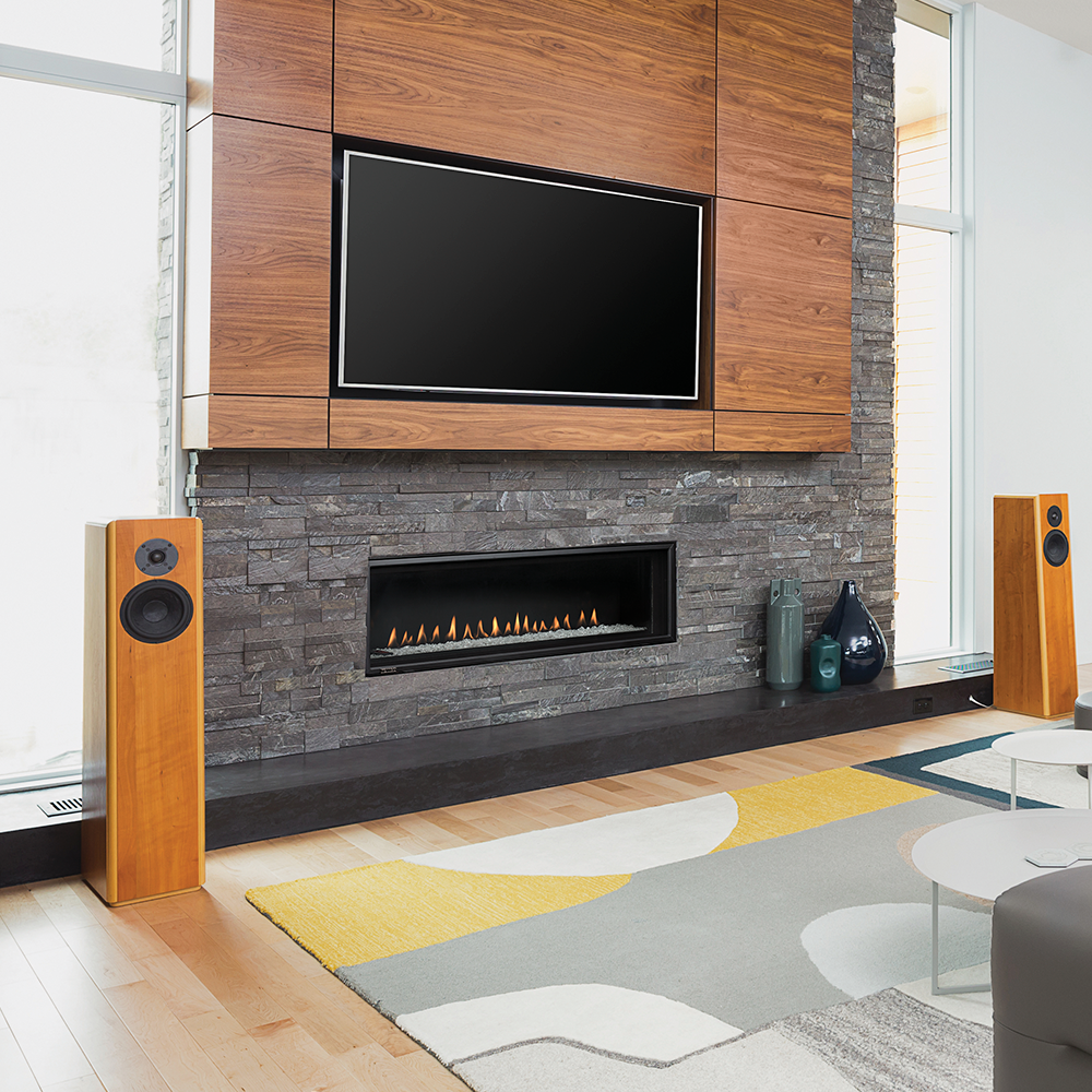 Montigo DelRay 48 Linear Direct-Vent Gas Fireplace - DRL4813NI – North ...