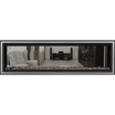 Napoleon Vector 62 SeeThru Linear Direct-Vent Gas Fireplace | LV62N2 ...
